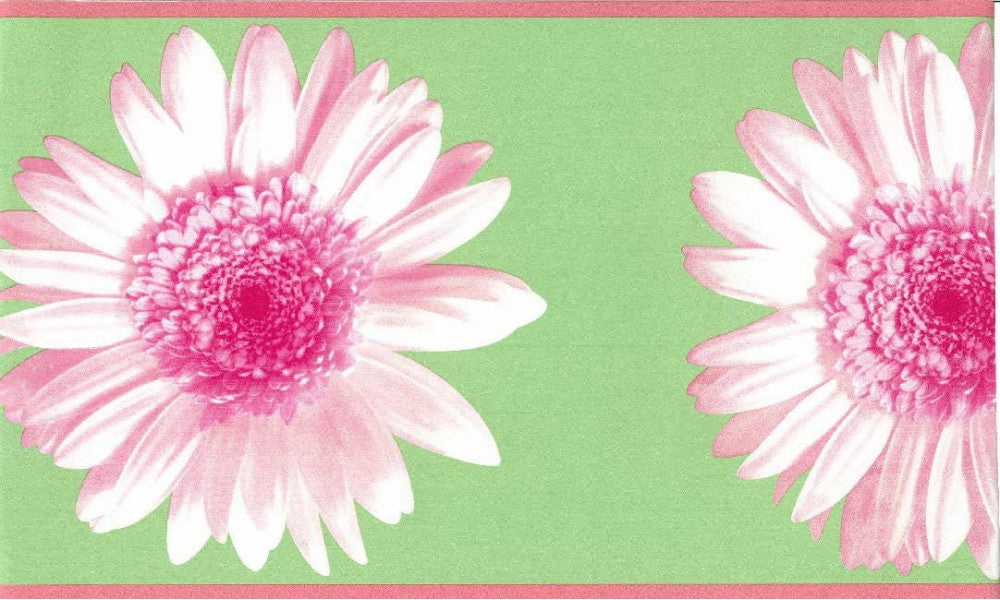 Pink And Green Wallpaper Border