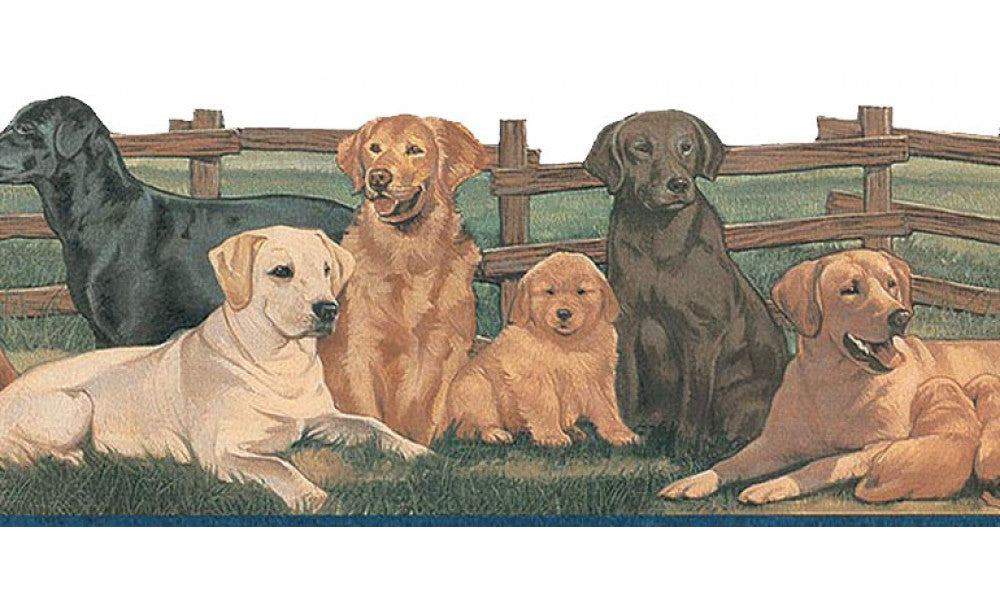 Labrador Retriever Wallpaper Border