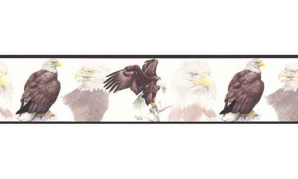 Eagle Wallapaper Border GL76379 Wallpaper - Gifted Parrot